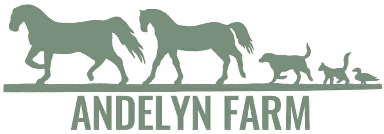 Andelyn Farm: Campground, Yurts, Hay Barn Wedding & Event Center